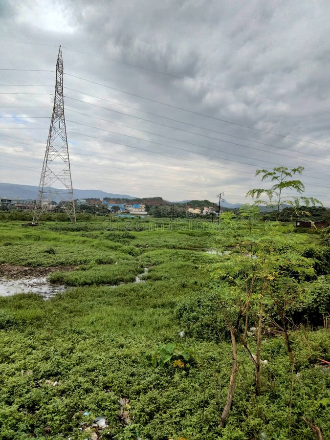 Indian Farm and Light Pole with Greenery Stock Photo - Image of plant ...