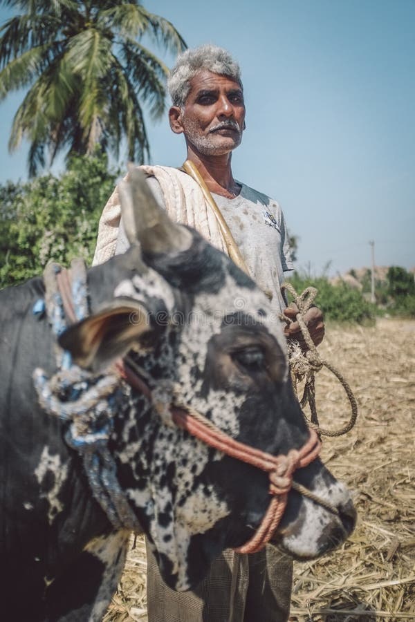 Indian farmer editorial stock image. Image of texture - 56914069