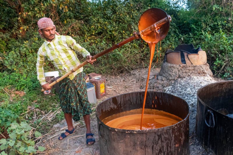An Indian Farmer is Producing Jaggery Using Traditional Methods ...