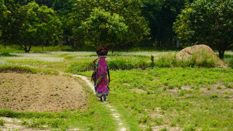 Image of Indian Farmer S Family in the Farm Editorial Stock Image ...