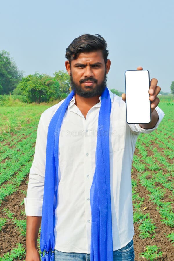Indian Farmer Showing a Mobile Screen at Agriculture Field Stock Photo ...