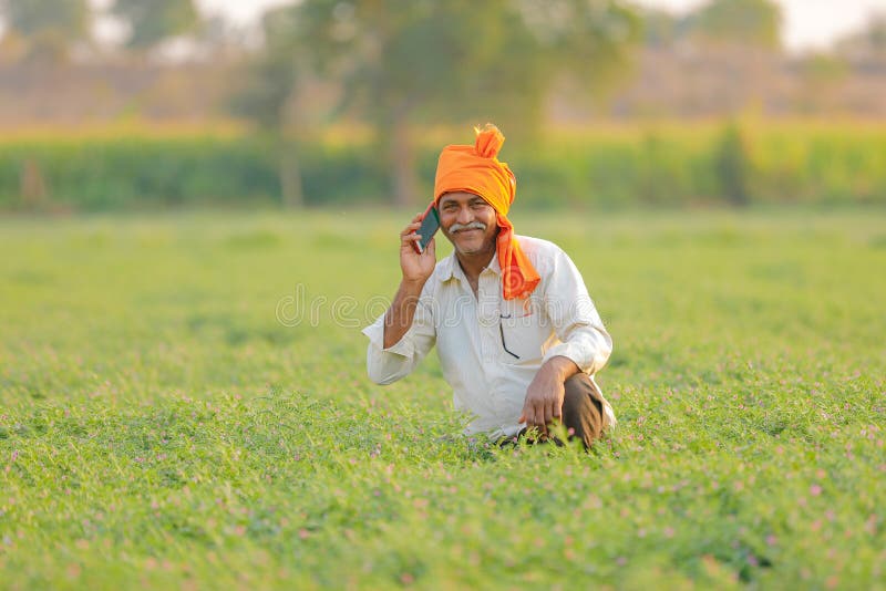 Indian Farmer Using Mobile Phone at Chickpea Field Stock Image - Image ...