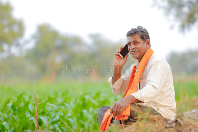 Indian Farmer Using Mobile Phone at Corn Field Stock Image - Image of ...