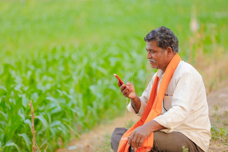 Indian Farmer Using Mobile Phone at Corn Field Stock Image - Image of ...