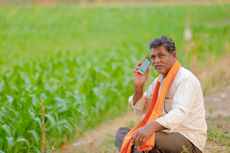 Indian Farmer Using Mobile Phone at Corn Field Stock Image - Image of ...