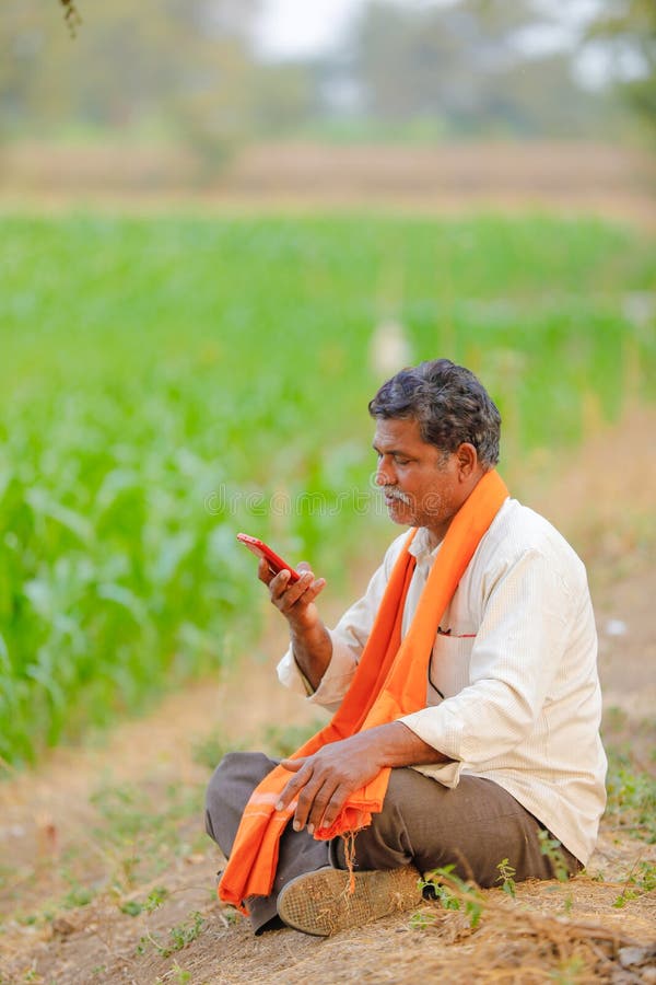 Indian Farmer Using Mobile Phone at Corn Field Stock Image - Image of ...