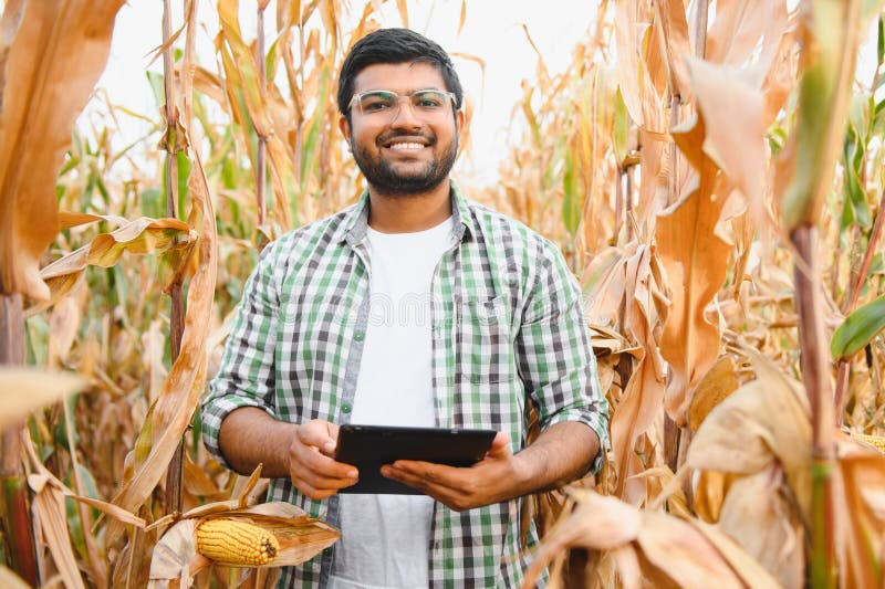 Indian Farmer Using Tablet at Agriculture Field. an Agronomist Inspects ...