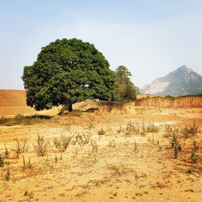 Indian Field with Lots of Peace Stock Image - Image of hill, nature ...