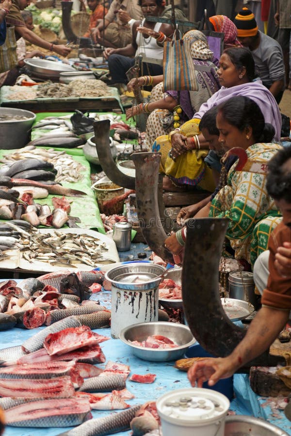 Indian Fish Market editorial photo. Image of travel, fish - 7574901