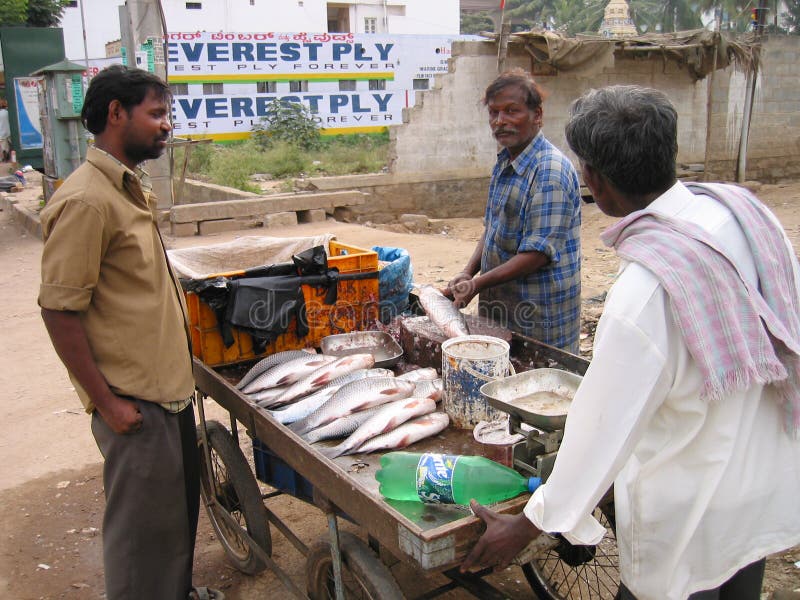 Indian Fish Monger editorial stock photo. Image of fish - 29231873