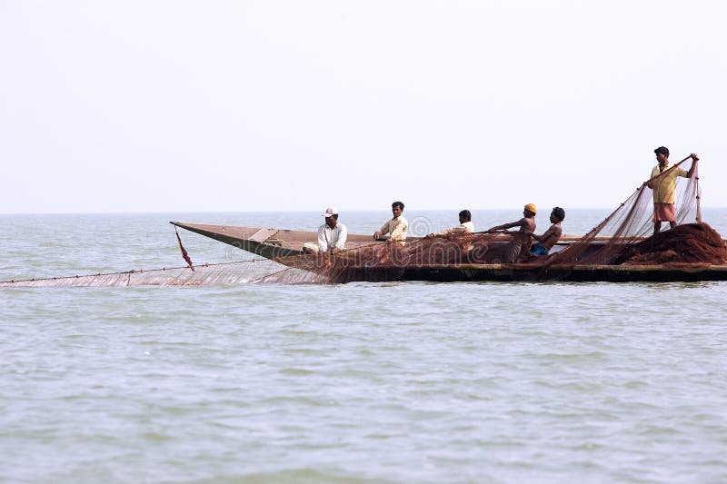 Chilika Lake Fish
