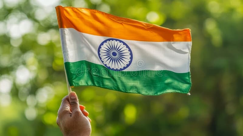 The Indian Flag on a Background. Ashoka Chakra Stock Illustration ...