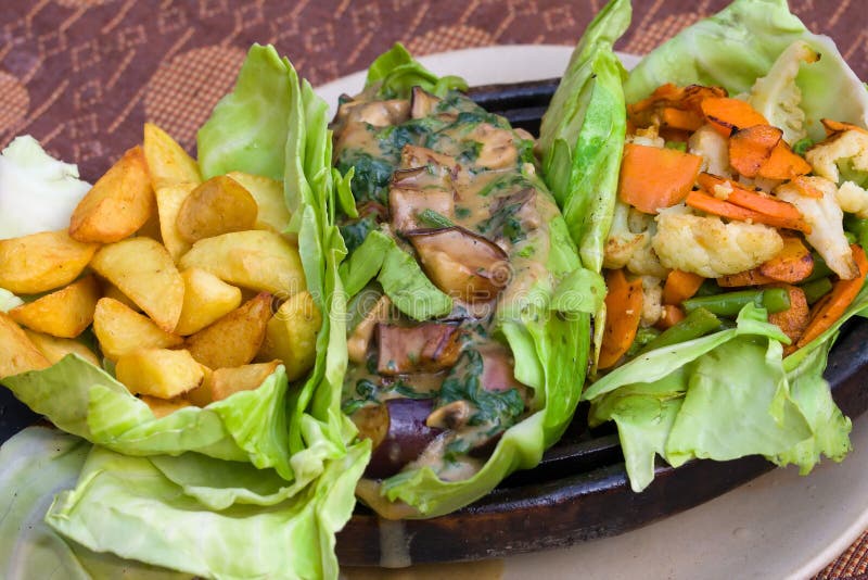 Indian food Sizzler stock image. Image of cuisine, appetizer - 27769157