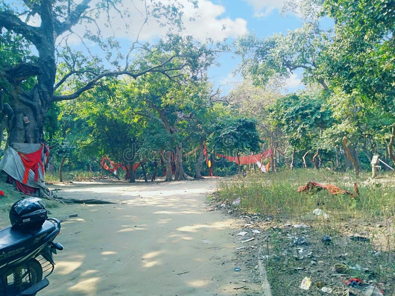 Indian Forest Beautiful Place Nice Looking Stock Photo - Image of nice ...