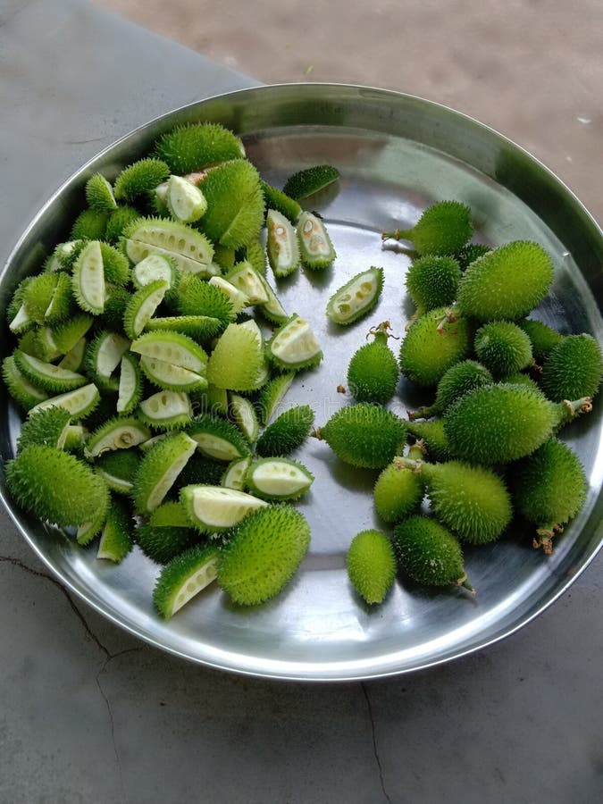 Indian forest vegetables stock photo. Image of indianforest - 194319626