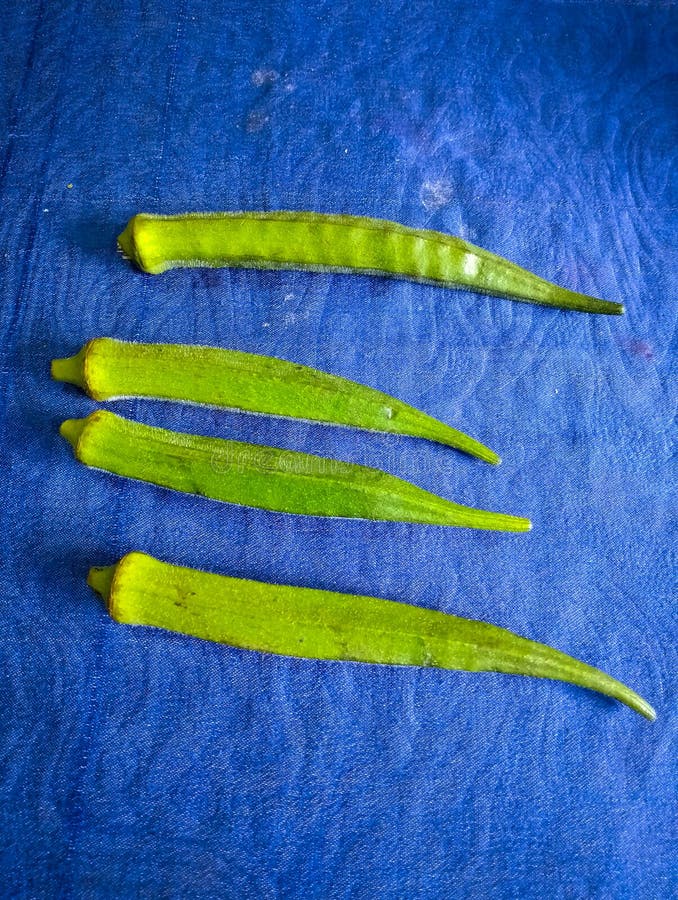 Indian Fresh Healthy Organic Green Vegetable Stock Photo - Image of ...