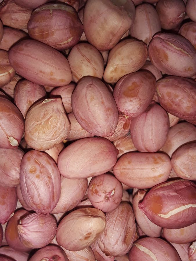Fresh Raw Peanuts in the Shell Sold at Market Stock Image - Image of ...