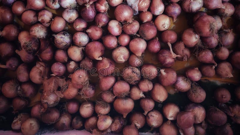 Indian Fresh Red Indian Onions, Pyaz Stock Image - Image of background ...
