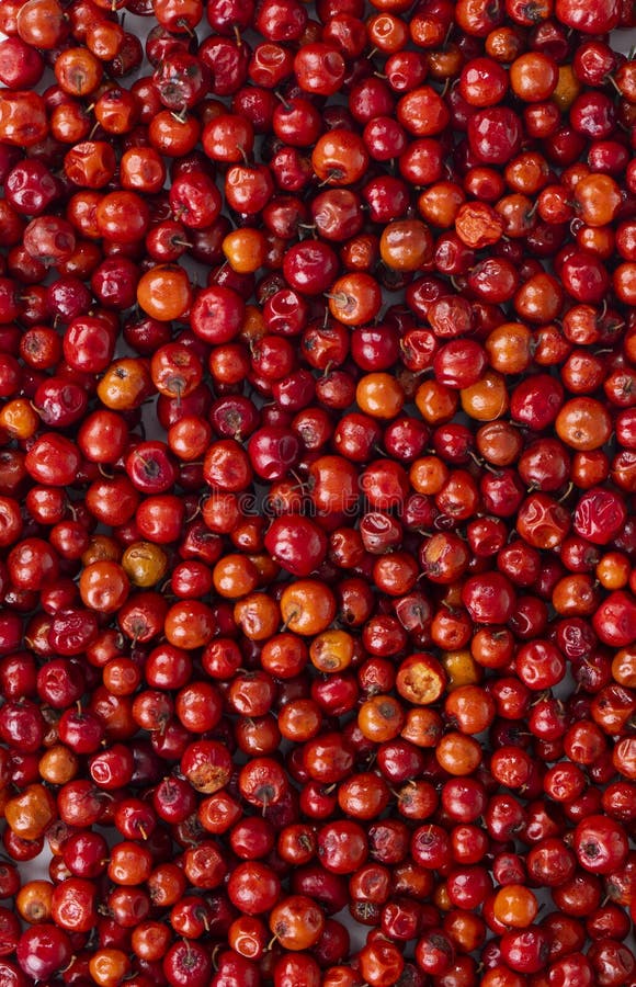 Boor Fruit Stock Photos - Free & Royalty-Free Stock Photos from Dreamstime