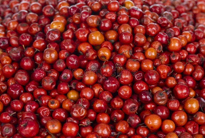 Boor Fruit Stock Photos - Free & Royalty-Free Stock Photos from Dreamstime