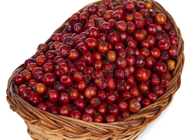 Indian Fruit Red Berry on White Background Stock Photo - Image of ...