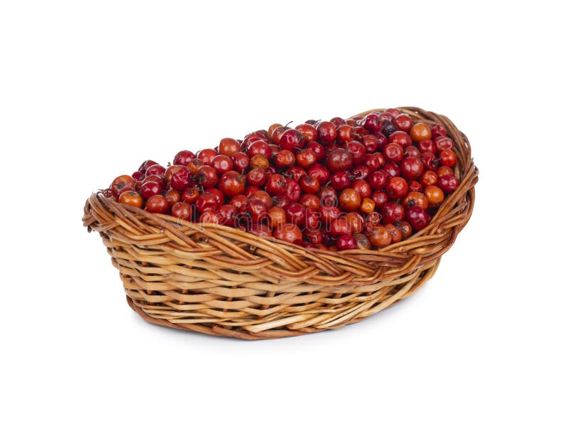 Boor Fruit Stock Photos - Free & Royalty-Free Stock Photos from Dreamstime