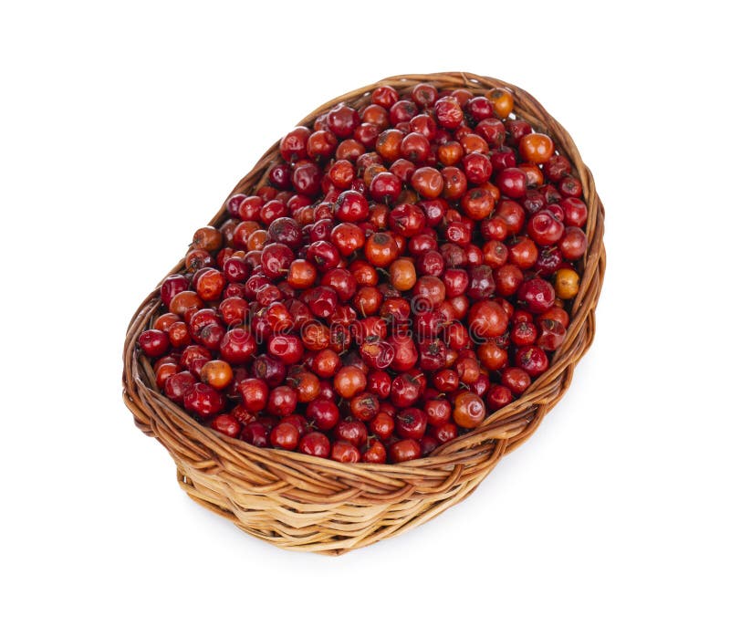 Indian Fruit Red Berry on White Background Stock Photo - Image of ...