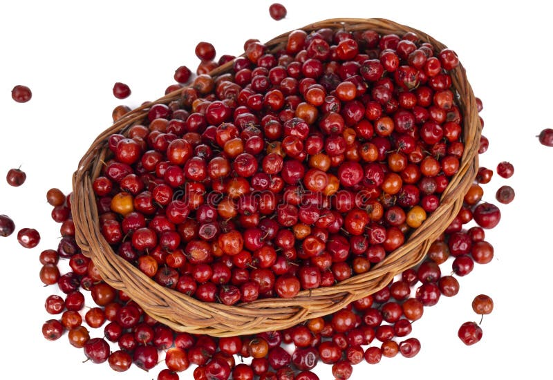 Indian Fruit Red Berry on White Background Stock Image - Image of fresh ...