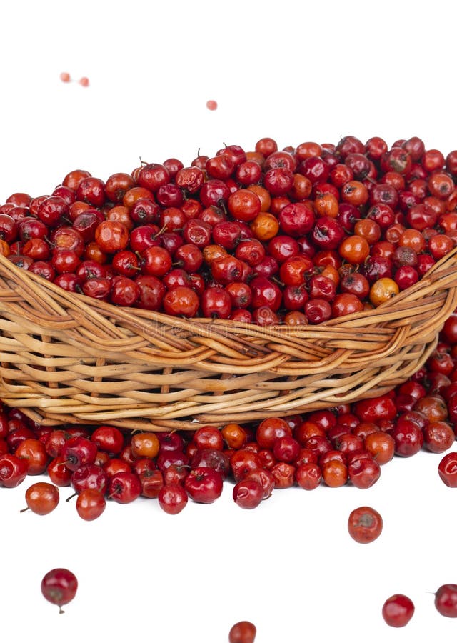 Indian Fruit Red Berry on White Background Stock Image - Image of ...