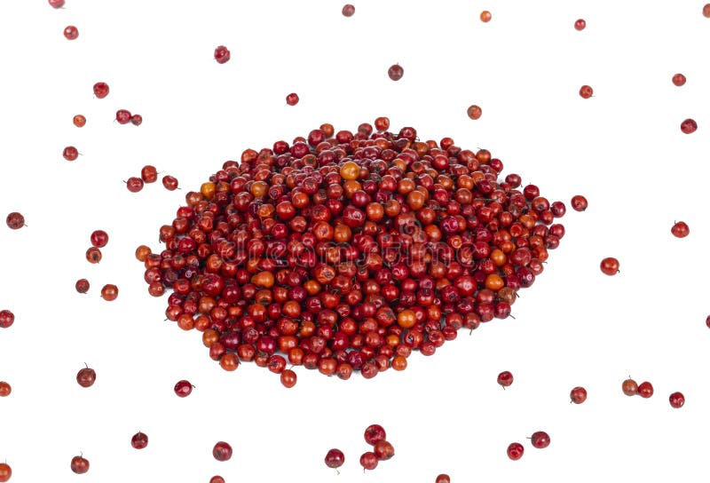 Indian Fruit Red Berry on White Background Stock Photo - Image of ...