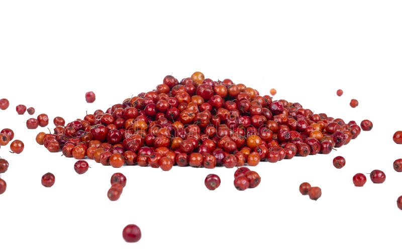 Indian Fruit Red Berry on White Background Stock Image - Image of ...
