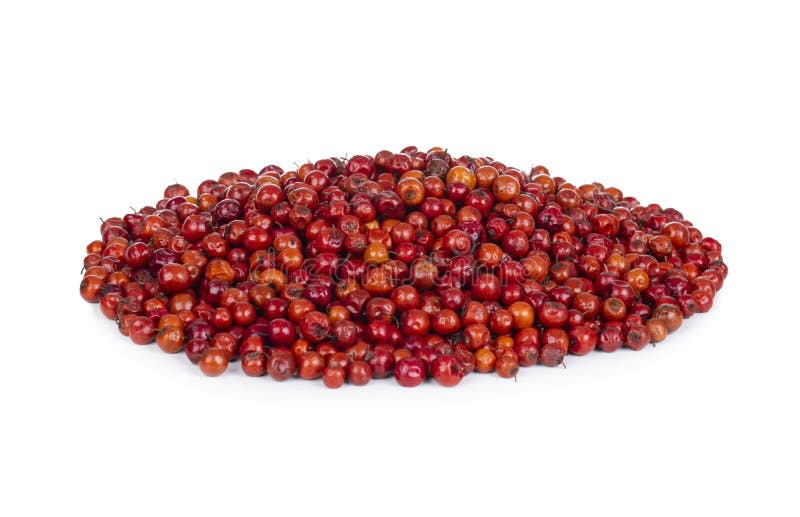 Boor Fruit Stock Photos - Free & Royalty-Free Stock Photos from Dreamstime