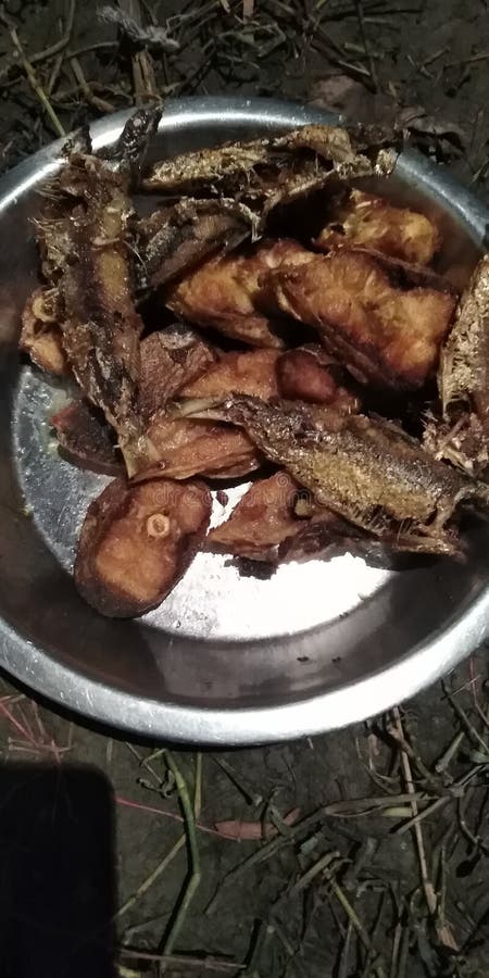 Indian Frying Fish in a Thali Stock Image - Image of night, indian ...