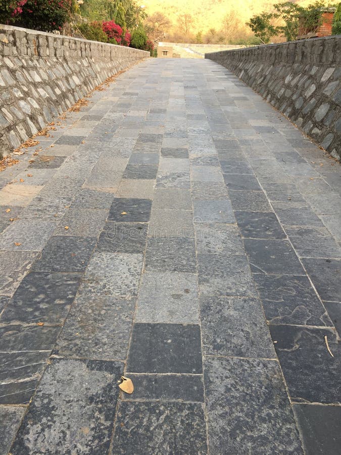 Indian Garden stock photo. Image of forest, footpath - 89412122