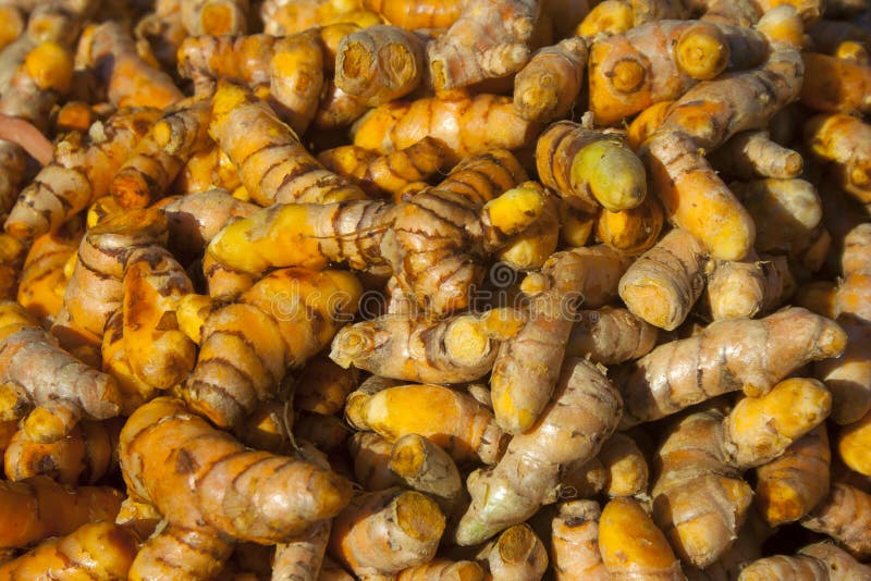 INdian Ginger stock photo. Image of healthy, conceptual - 65987548