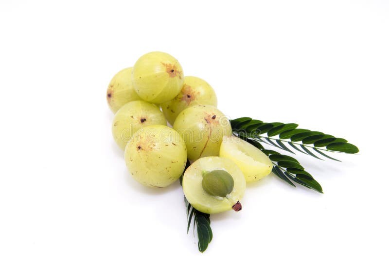 Indian goose-berry stock image. Image of india, organic - 77278613