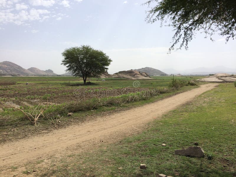 Indian green landscape stock image. Image of agricultural - 79789665