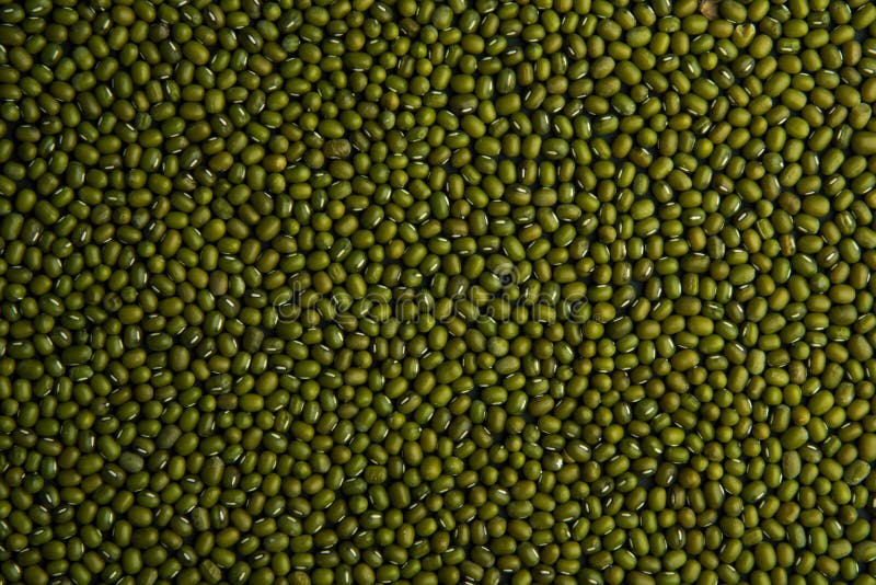 Greengram Texture Stock Photos - Free & Royalty-Free Stock Photos from ...