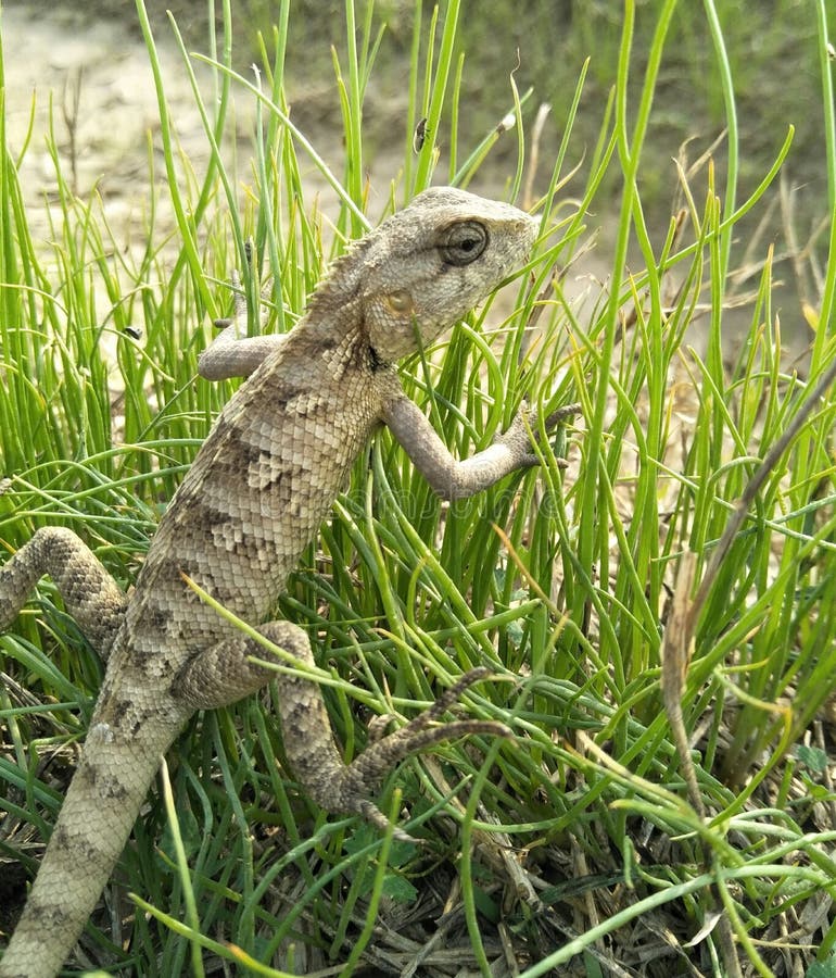 You're grounded!!! stock photo. Image of angry, frustration - 28746358