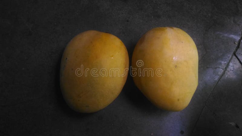 Indian Hapus Mango Sweet and Desi Fruit Stock Image - Image of desi ...