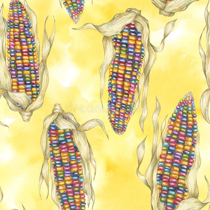 Indian Corn Wallpaper Stock Illustrations – 92 Indian Corn Wallpaper ...