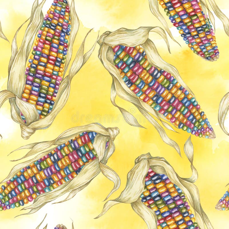 Indian Heirloom Corn Seamless Pattern, Rainbow Cobs on Abstract Splash ...