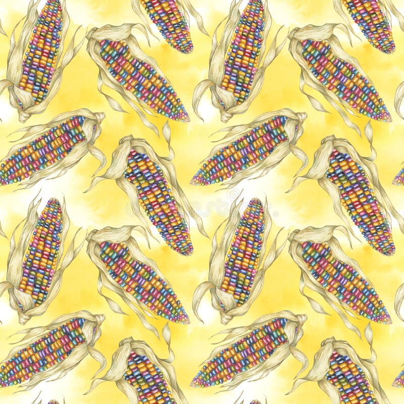 Indian Heirloom Corn Seamless Pattern, Rainbow Cobs on Abstract Splash ...
