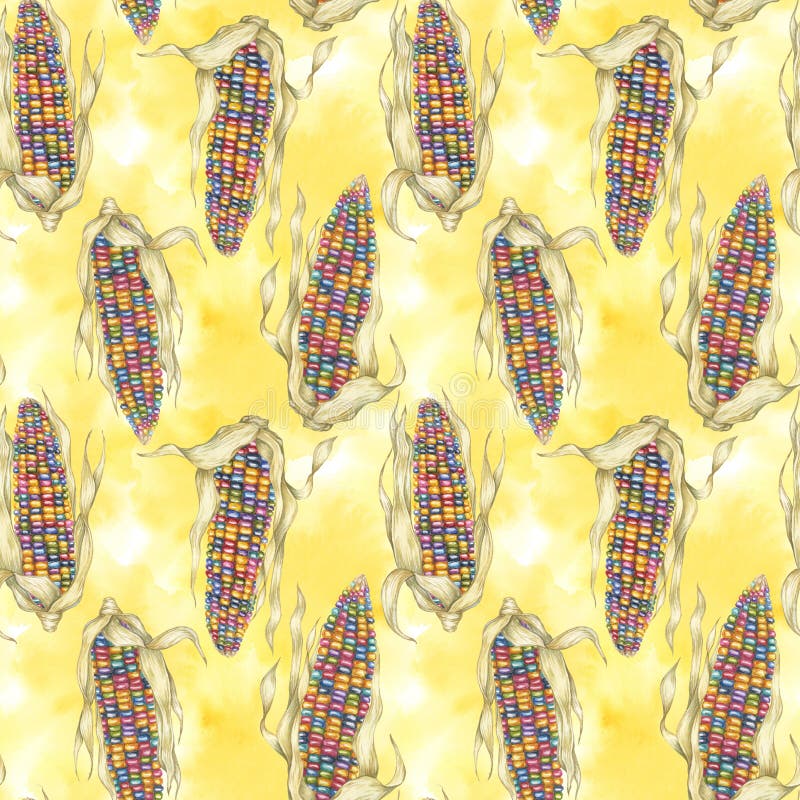 Indian Heirloom Corn Seamless Pattern, Rainbow Cobs on Abstract Splash ...
