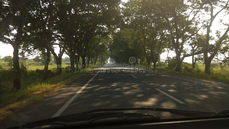 Indian Highway Covered With From Both Side Of The Road Stock Photo ...