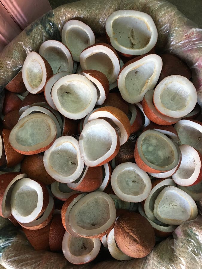 Indian Hindu Religion Vatki Stock Photo - Image of coconut, round: 89032096