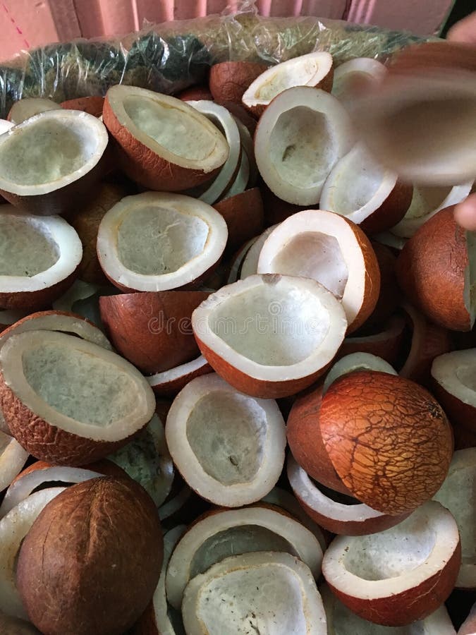 Indian Hindu Religion Vatki Stock Photos - Free & Royalty-Free Stock ...