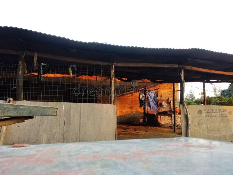 Indian Home Night Sun and Good Night Stock Photo - Image of home ...