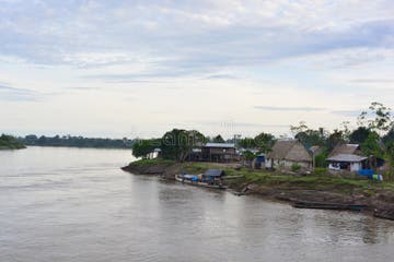 Amazon Typical Houses Stock Photos - Free & Royalty-Free Stock Photos ...