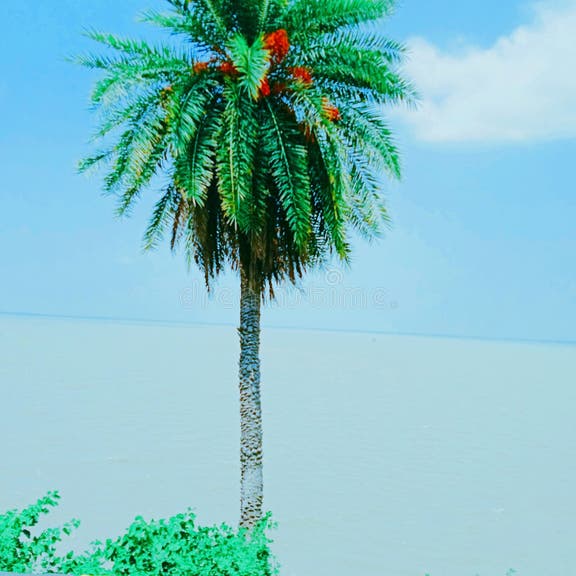 Indian Hubli River from Raichak Stock Photo - Image of river, raichak ...